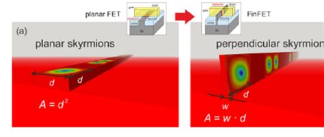 Discovery Of A Novel Magnetic Skyrmion Surface State