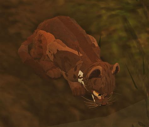 Odder In 2025 Otters Goofy Im Back