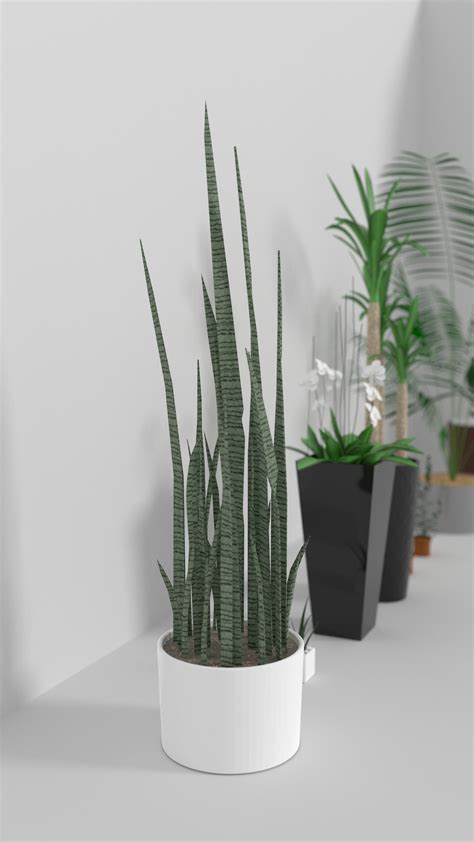 3d Indoor Pot Plants Model For Gaming Codester