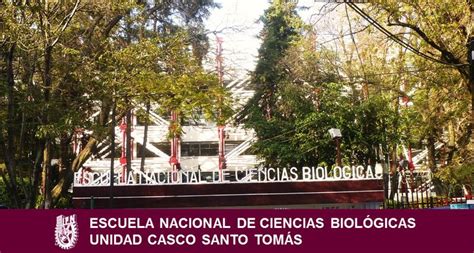 Marcelo Santiago Hernández I Escuela Nacional de Ciencias Biológicas IPN Unidad Casco de Santo