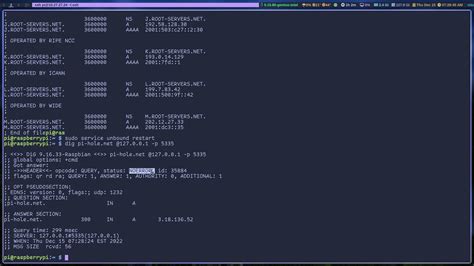 Raspberry Pi Pi Hole Munozpi A Blog On All Things Tech