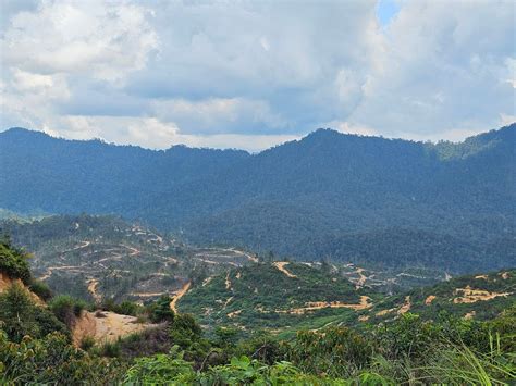 One How To Divide The Stages Of Mineral Resource Exploration Mineral Resource Exploration