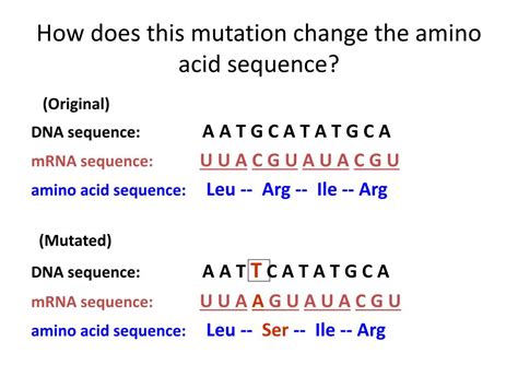 Amino Acid Sequence Hetyrunner