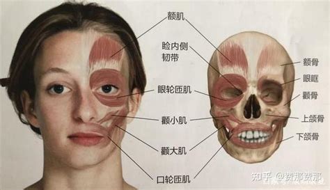 面肌痉挛是怎么回事 知乎