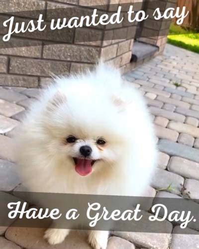 Cute Have A Great Day Ecard Free Have A Great Day Ecards 123 Greetings