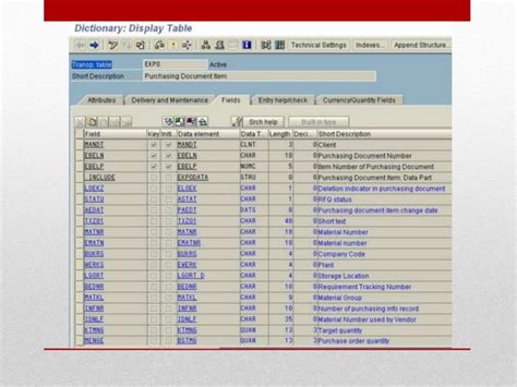 Abap Data Dictionary Pptx