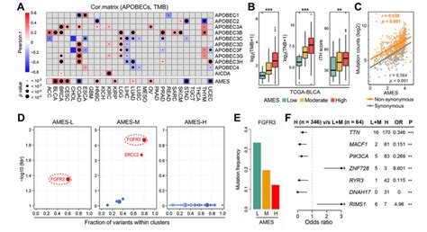 跟着theranostics学做图｜ggplot2加tidyverse强强联合画相关性热图相关性分析线面组合热图 Csdn博客