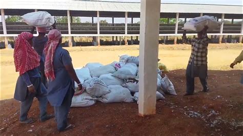 Murgi Form Me Mahilaye Kaise Kam Karte Hain Youtube