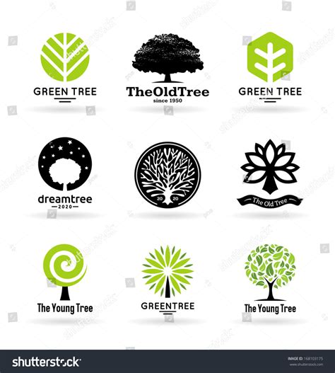 Set Trees Stock Vector Royalty Free Shutterstock
