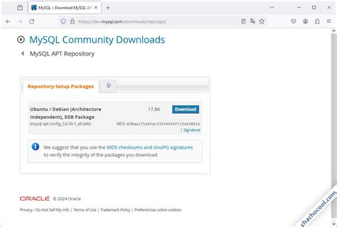 Cómo Instalar Mysql En Debian 12 Bookworm ️ [2024]
