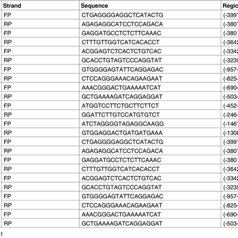 Primer Sequence For Chip Analysis Download Table
