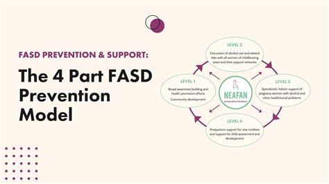 The 4 Part Fasd Prevention Model Neafan
