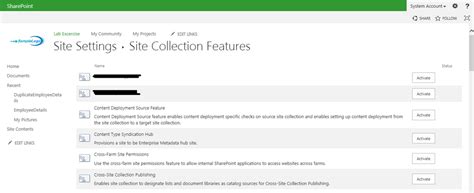 Activate Custom Web Part In Sharepoint Site Collection Features
