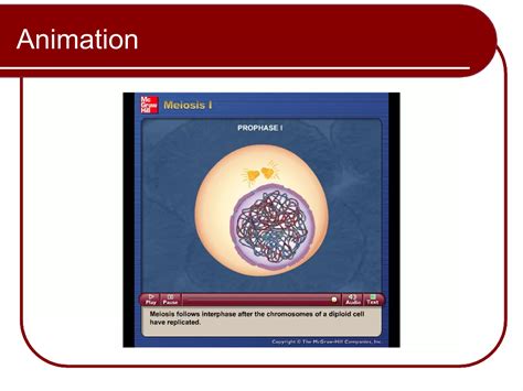 10 Lecture Animation Ppt Ppt