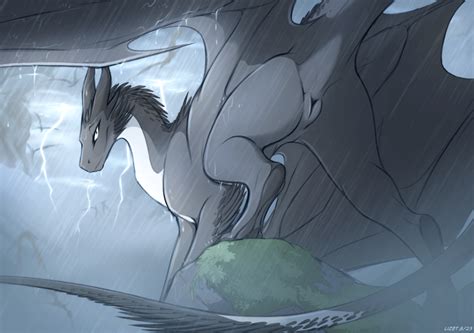 Rule 34 Animal Genitalia Ass Cloaca Dragon Female Feral Genitals Horn