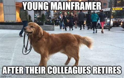 Emma Skovgård On Linkedin Mainframe Memeframemonday