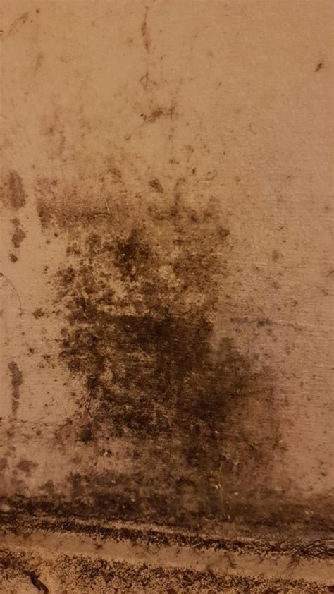 Why Should Electrical Wholesalers Offer Positive Input Ventilation Piv Vent Axia