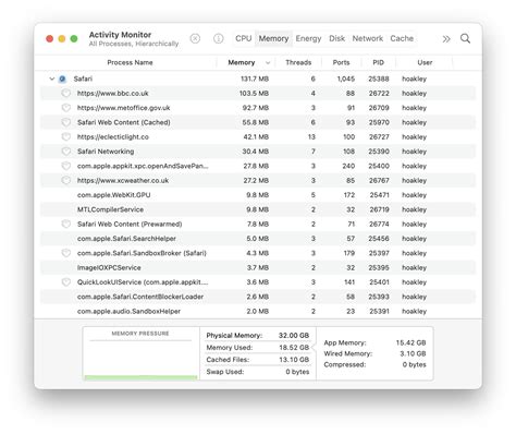 Getting More From Activity Monitor Memory The Eclectic Light Company