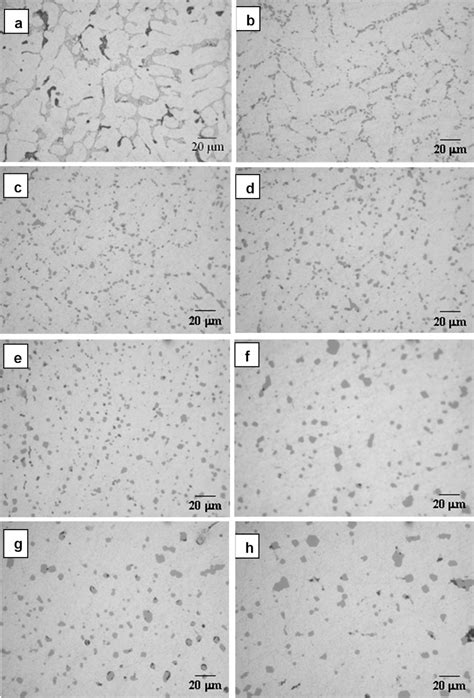 Optical Micrographies Showing The Evolution Of The Microstructure In Download Scientific