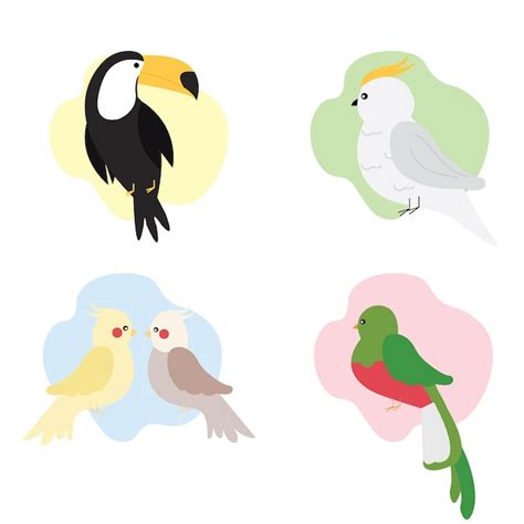 Premium Vector Vector Collection Of Flat Exotic Bird