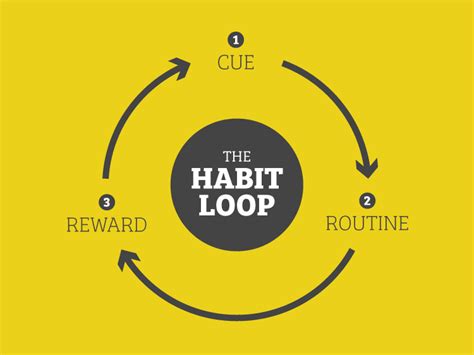 Habits The Habit Cycle