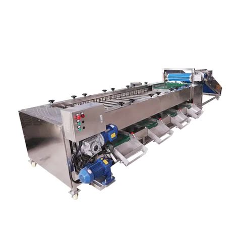 Root Vegetable Fruit Grading Machine Tomato Carrot Sorting Machine Cucumber Sorter Machine