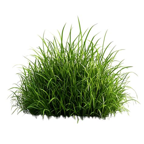 Realistic Grass Pngs For Free Download