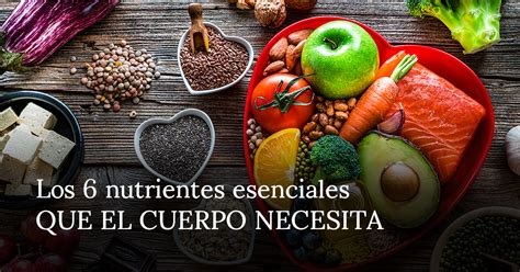 Los 12 Tipos De Nutrientes Y Sus Funciones Iiomi