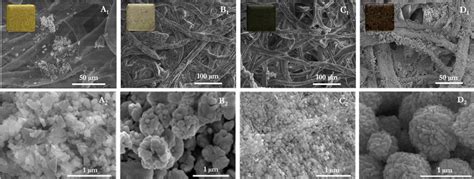 Figure 2 From Flexible Substrate Of Cellulose Fiberstructured