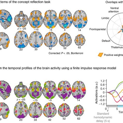 Brain Activation Patterns During The Concept Reflection Task A The