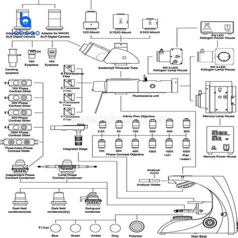 Professional Lab Fluorescence Microscope Biological With Camera Professional Lab Fluorecence