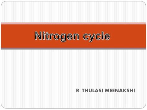 Mineralization Of Organic Nitrogen Pdf Chemistry Science
