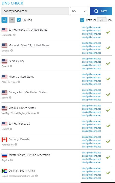 Website Not Propagating With Custom Dns Support Netlify Support Forums