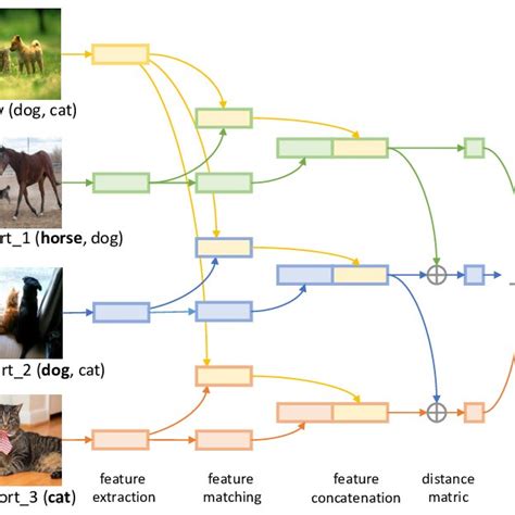 Illustration Of Cfmn For Multi Label Few Shot Image Classification It Download Scientific