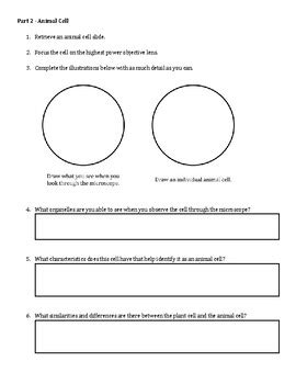 Microscope And Types Of Cells Lab By Biology Resources By Mrs Mellen