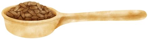 Cocoa Bean Pngs For Free Download