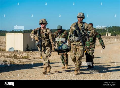 Us Army Field Training
