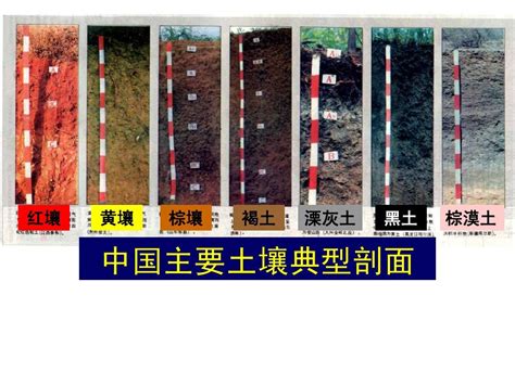 10 第9章 土壤圈 2小时word文档在线阅读与下载无忧文档