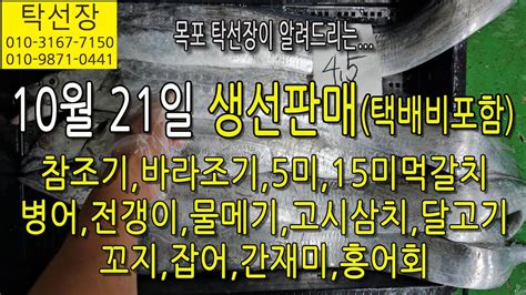 10월 21일 참조기 바라조기 특대 먹갈치 15미 먹갈치 병어 전갱이 물메기 고시삼치 달고기 꼬지 잡어 간재탁선장 목포 남도농수산 010 3167