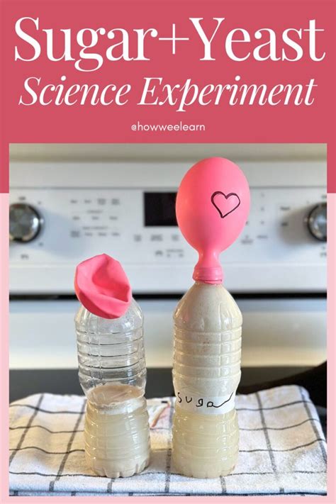 Valentines Day Science Experiment With Sugar And Yeast How Wee Learn