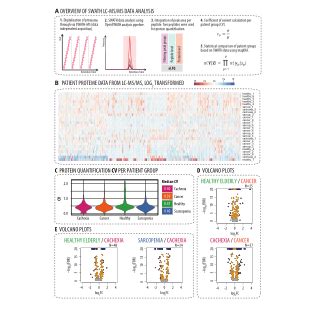 Proteomics Data A Overview Of Computational Analysis Of Liquid Download Scientific Diagram