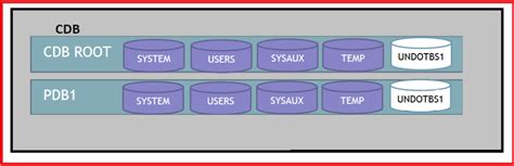 Local Undo Mode Vs Shared Undo In Oracle Dot Net Tutorials
