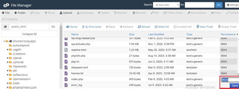 How To Change Permissions Chmod Of A File Using CPanel IntoHOST