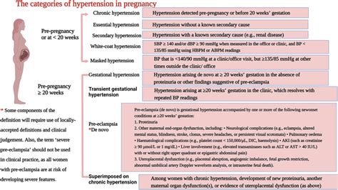 Classification Of Hypertension In Pregnancy Download Scientific Diagram