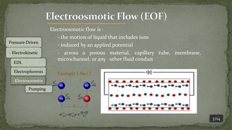 Ppt Electro Osmotic Flow Powerpoint Presentation Free Download Id
