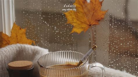 𝙿𝚕𝚊𝚢𝚕𝚒𝚜𝚝 비 오는 날 듣는 감성 노래 감성 폭발 가을 비에 듣기 좋은 팝송 Youtube Music