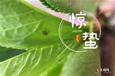 惊蛰怎么读拼音是什么 日历网