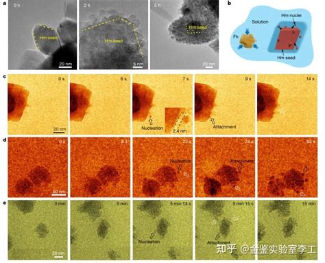 Nature：原位tem，看见晶体生长！ 知乎