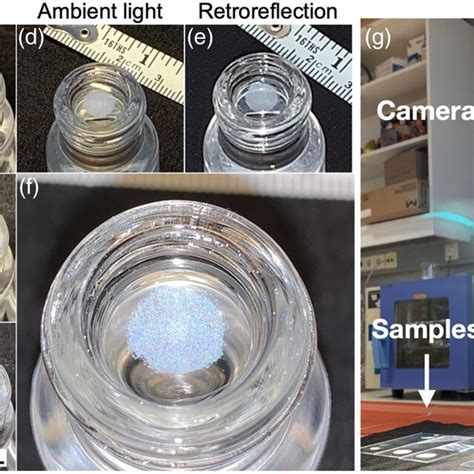 A Hybrid Schematic Representation Of The Microfluidic Set‐up For Csr