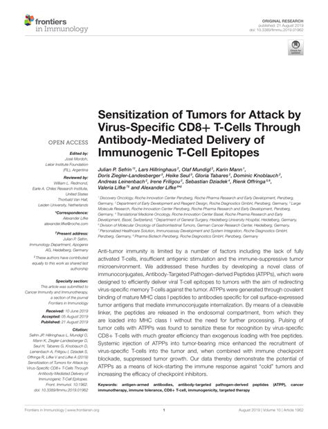Pdf Sensitization Of Tumors For Attack By Virus Specific Cd8 T Cells